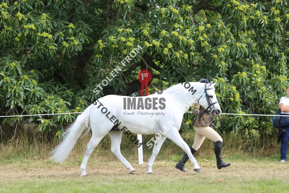 SA3_5787 2025 - 1st Class Images