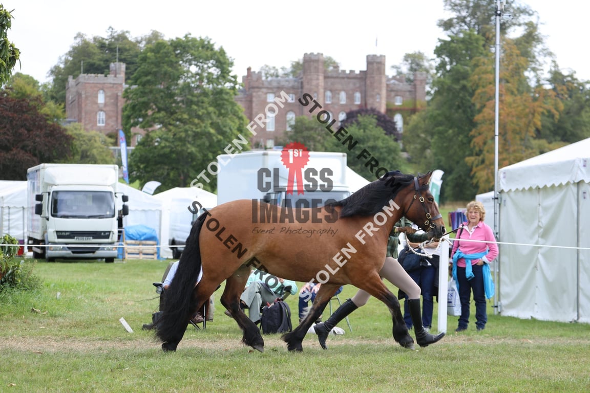 SA3_5840 2025 - 1st Class Images