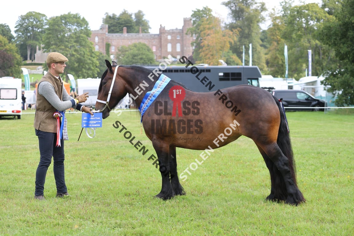 SA3_5909 2025 - 1st Class Images