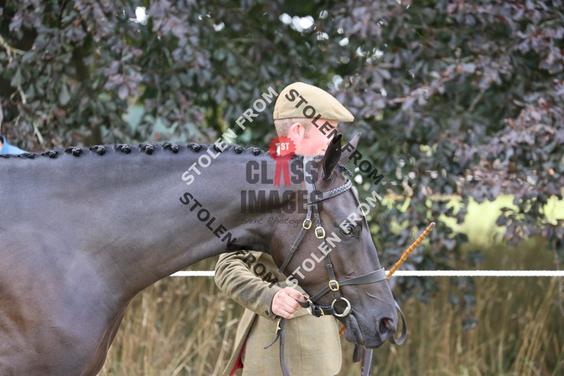 SA3_6137 2025 - 1st Class Images