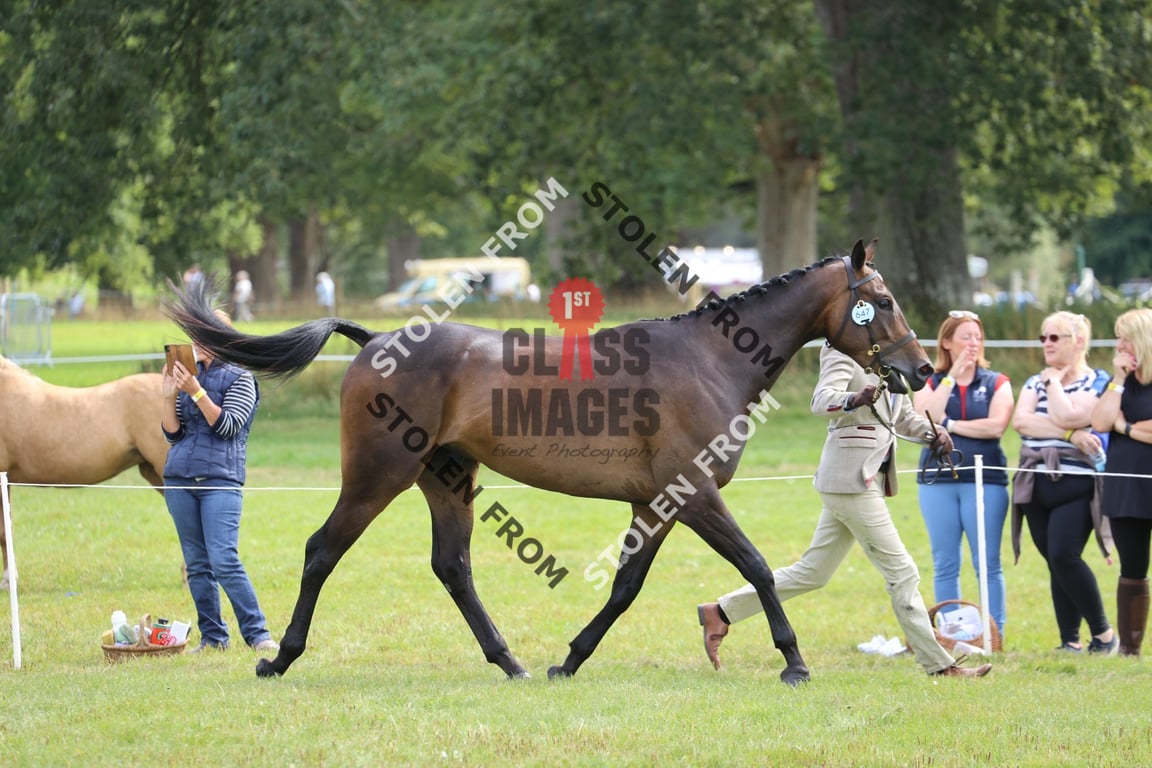 SA3_6232 2025 - 1st Class Images