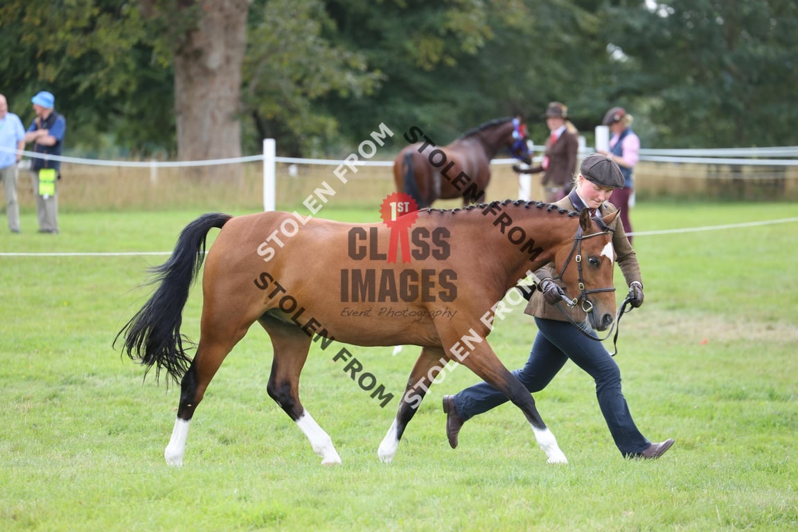 SA3_6404 2025 - 1st Class Images