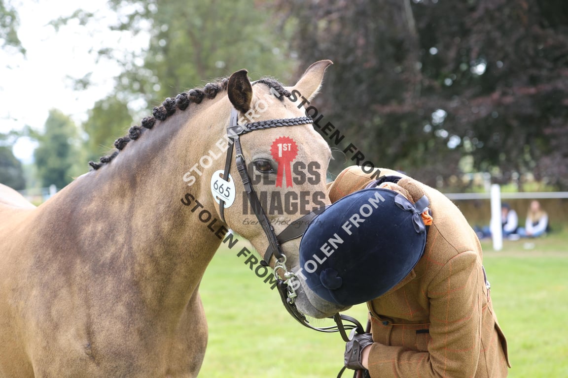 SA3_6453 2025 - 1st Class Images