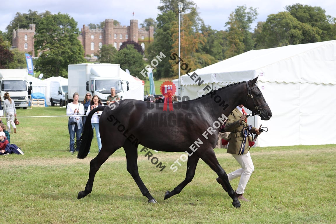 SA3_6528 2025 - 1st Class Images