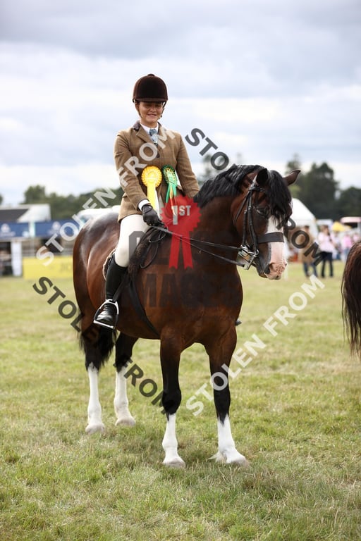 TA3_3965 2025 - 1st Class Images