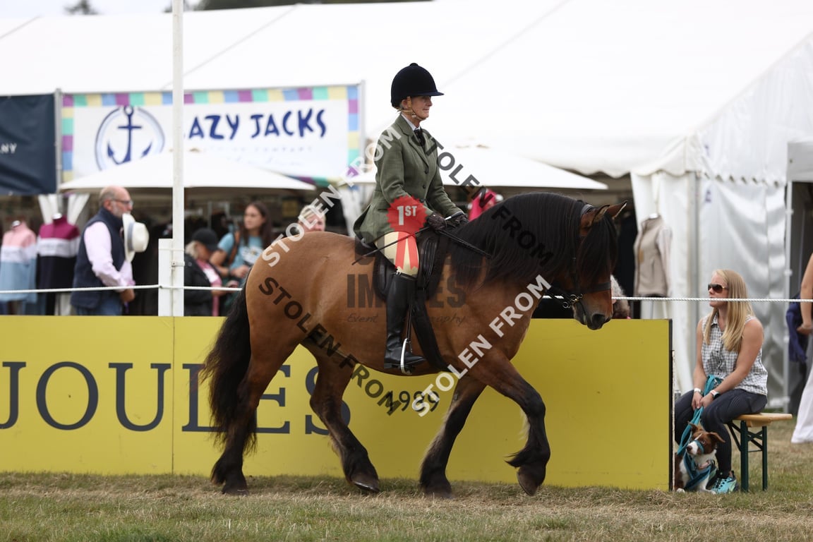 TA3_4085 2025 - 1st Class Images