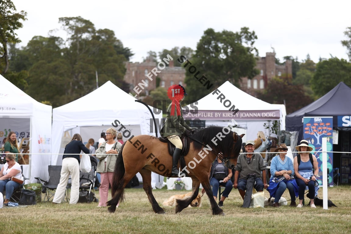 TA3_4089 2025 - 1st Class Images