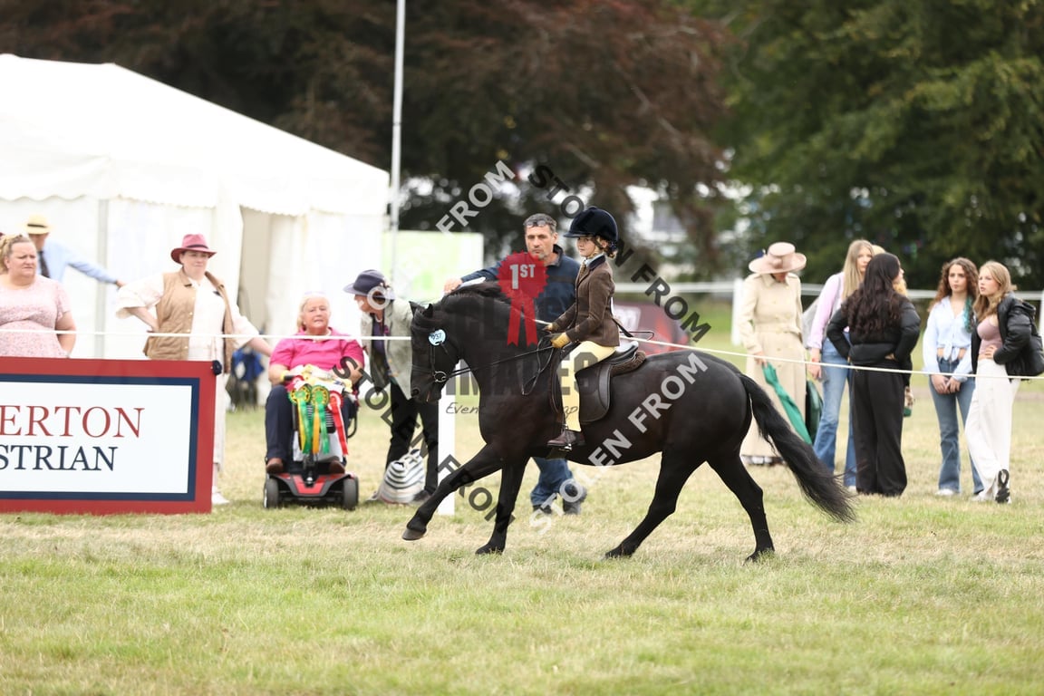 TA3_4912 2025 - 1st Class Images