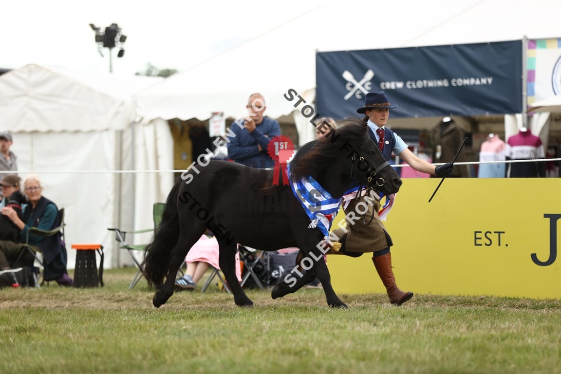 TA3_4964 2025 - 1st Class Images