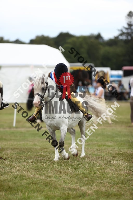 TA3_4997 2025 - 1st Class Images