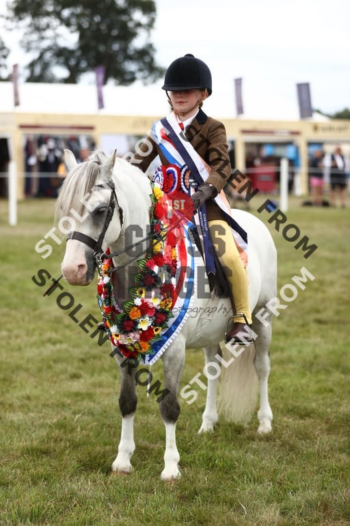 TA3_5033 2025 - 1st Class Images