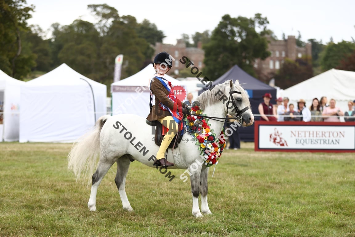 TA3_5046 2025 - 1st Class Images