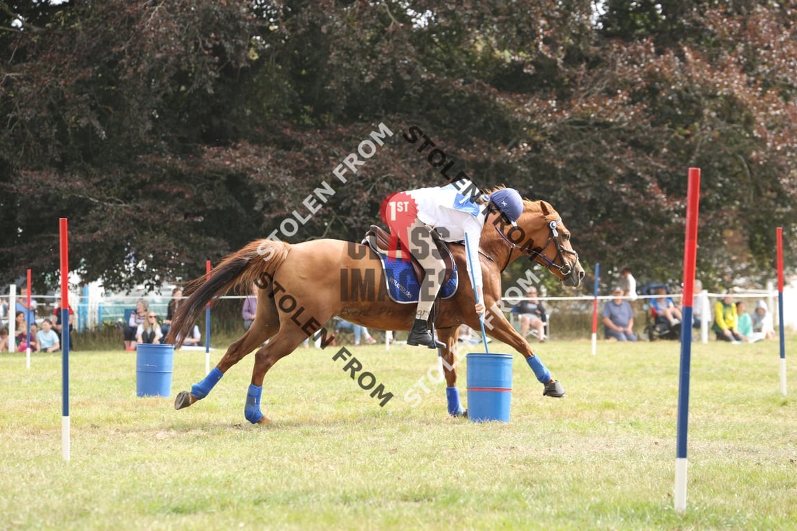 TA5_4513 2025 - 1st Class Images