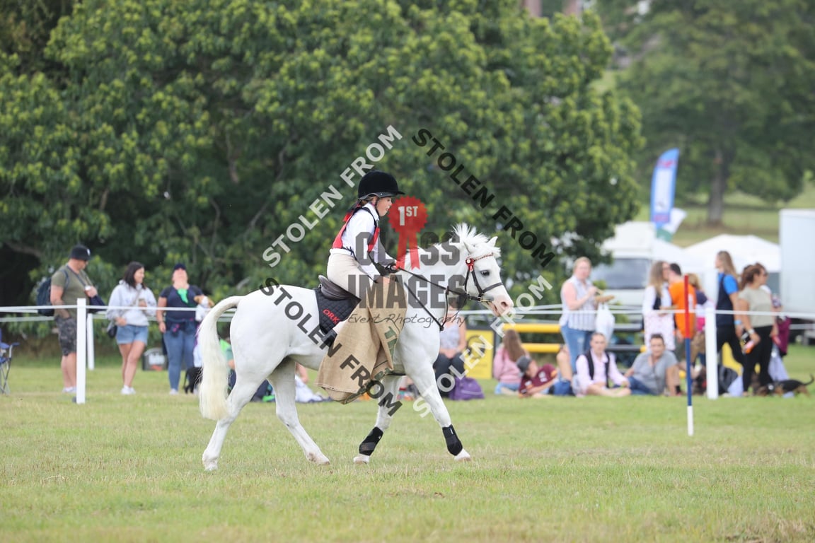 TA5_4880 2025 - 1st Class Images