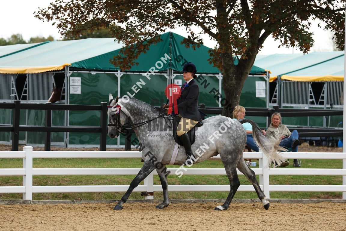 FA9_2450 2025 - 1st Class Images