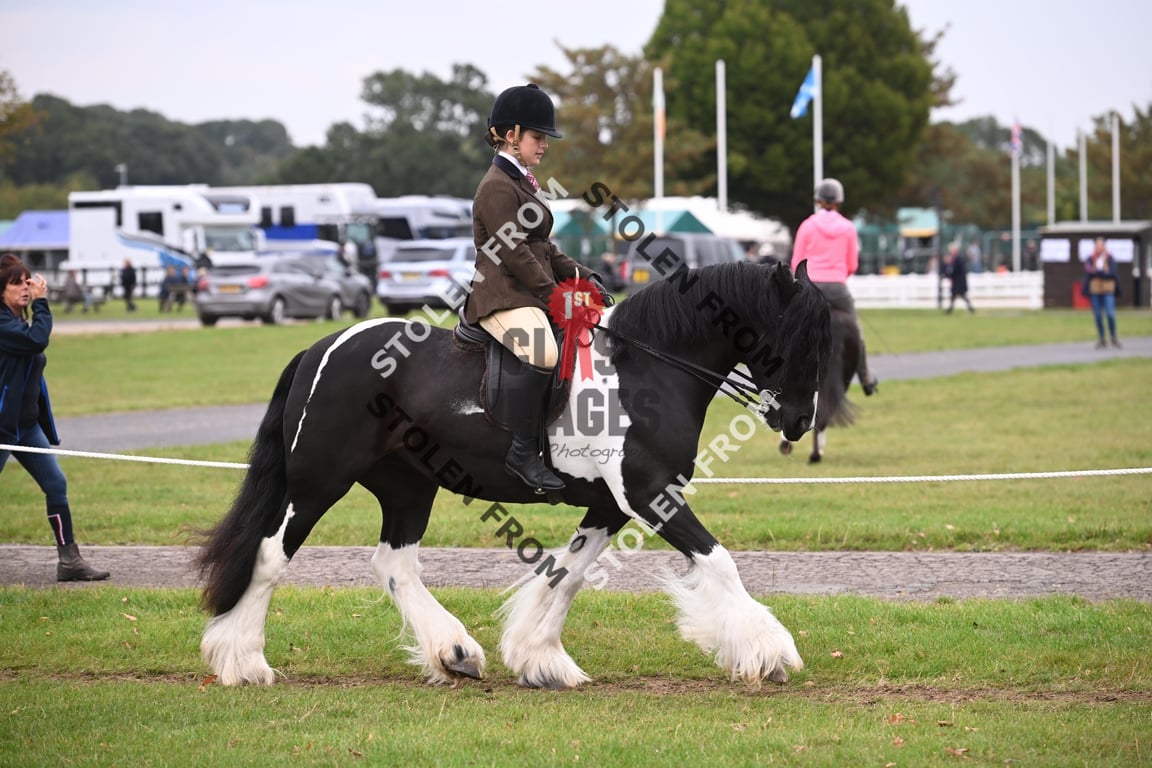 AA9_1728 2025 - 1st Class Images