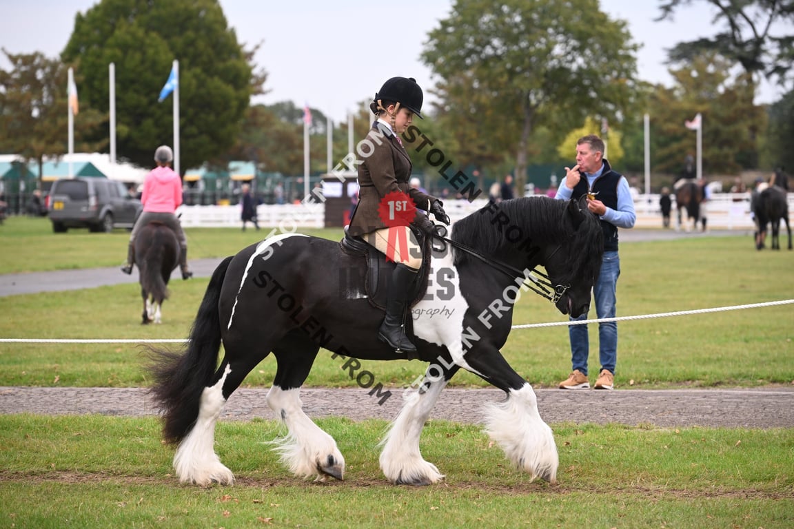 AA9_1729 2025 - 1st Class Images