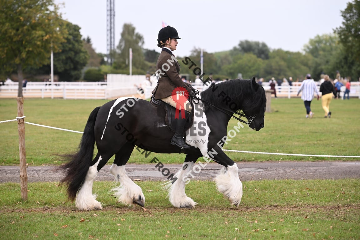 AA9_1731 2025 - 1st Class Images