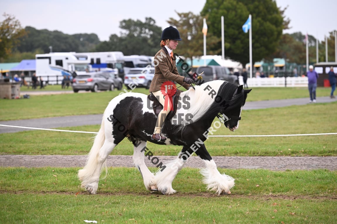 AA9_1732 2025 - 1st Class Images