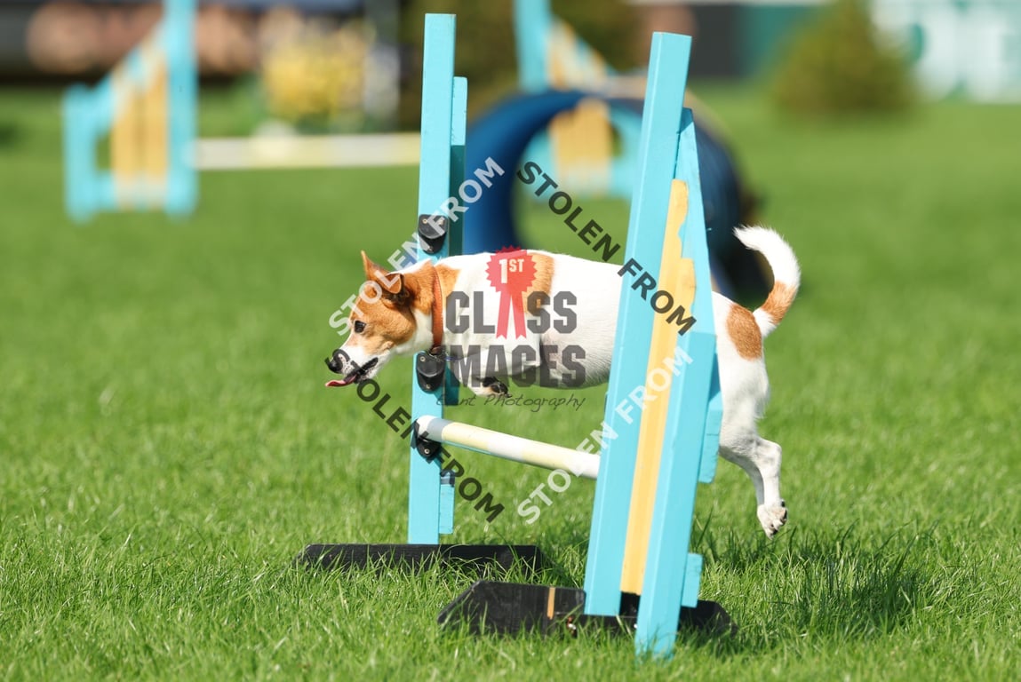 DC4_0329 2025 - 1st Class Images