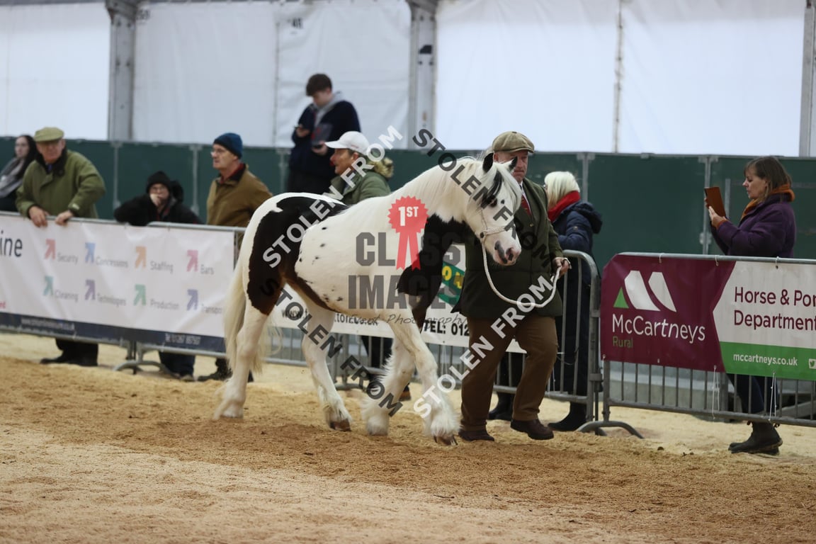 AR1_0597 2025 - 1st Class Images