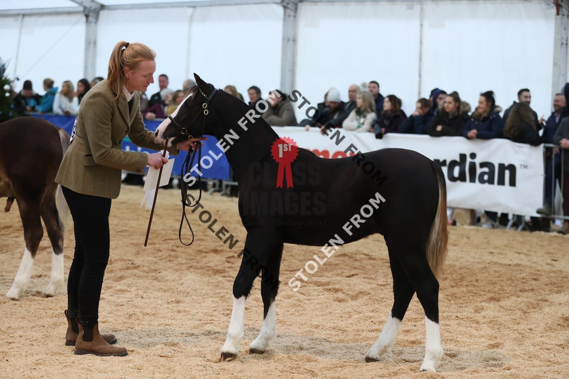 AR1_3773 2025 - 1st Class Images