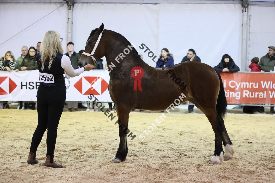 AR2_4045 2025 - 1st Class Images