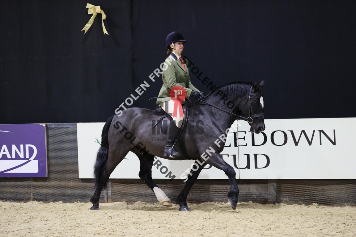 CS2_3401 2025 - 1st Class Images